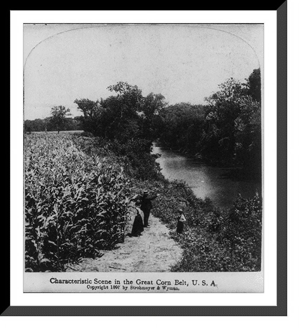 Historic Framed Print, Characteristic scene in the great corn belt, U.S.A., 17-7/8" x 21-7/8 ...