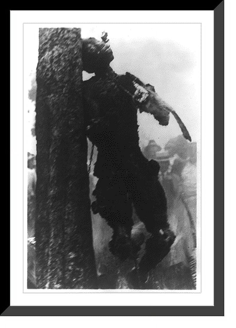 Historic Framed Print, [Close-up of charred corpse of Jesse Washington ...