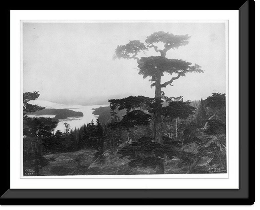 Historic Framed Print, [Columbia Glacier, from Heather Island], 17-7/8 ...