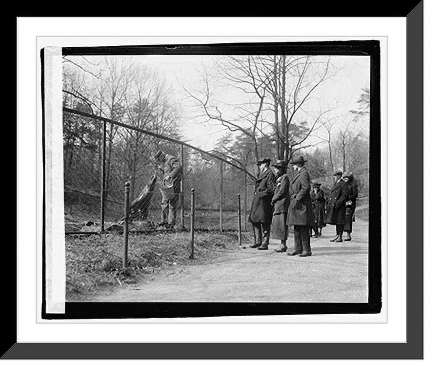 Historic Framed Print, Coolidge boys & Mrs. Coolidge at Zoo, 17-7/8" x ...