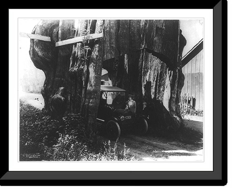 Historic Framed Print, [Darius Kinsey, Jr., and his mother Tabitha ...