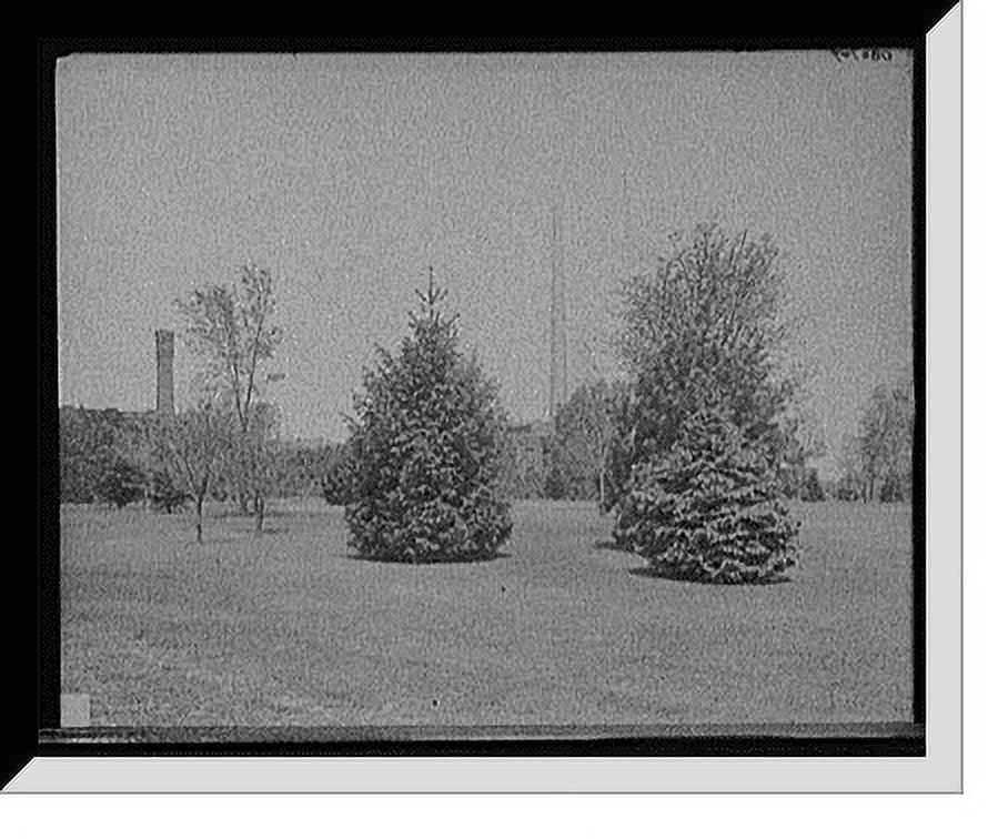 Historic Framed Print, [Eastman Kodak Co., Kodak Park plant, Rochester ...