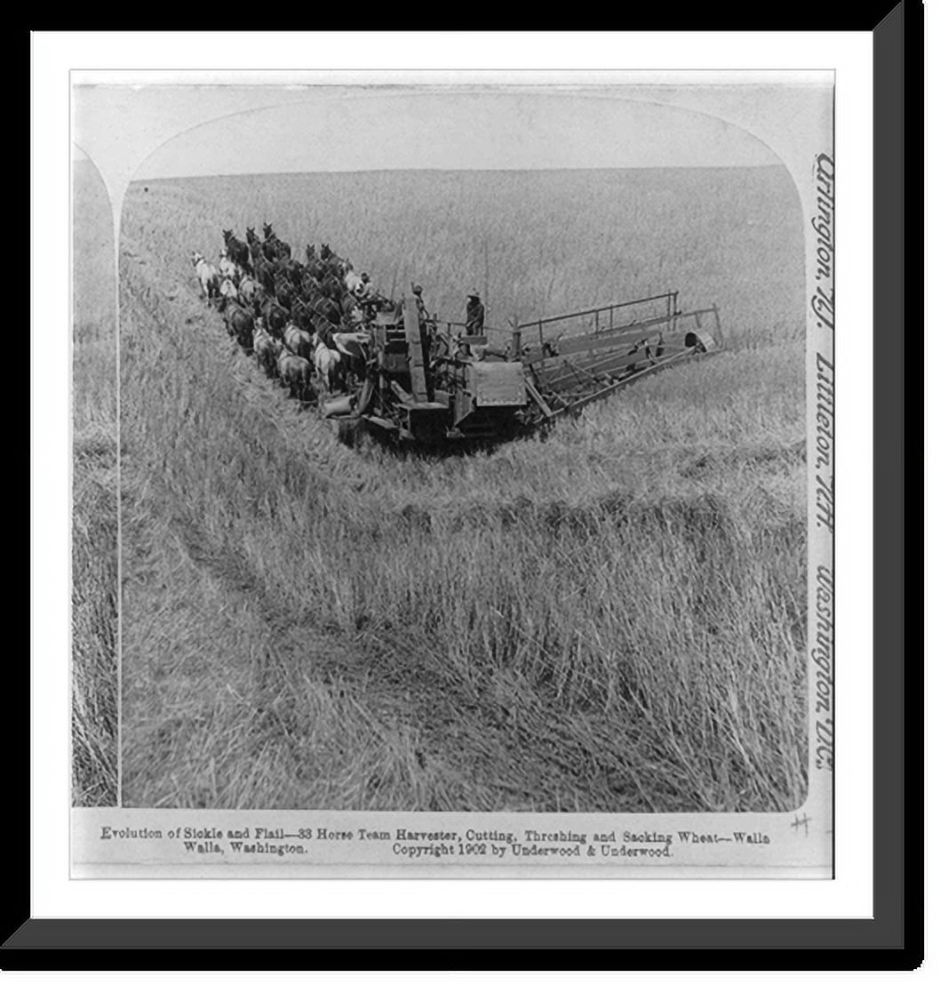 Historic Framed Print, Evolution of sickle and flail - 33 horse team ...