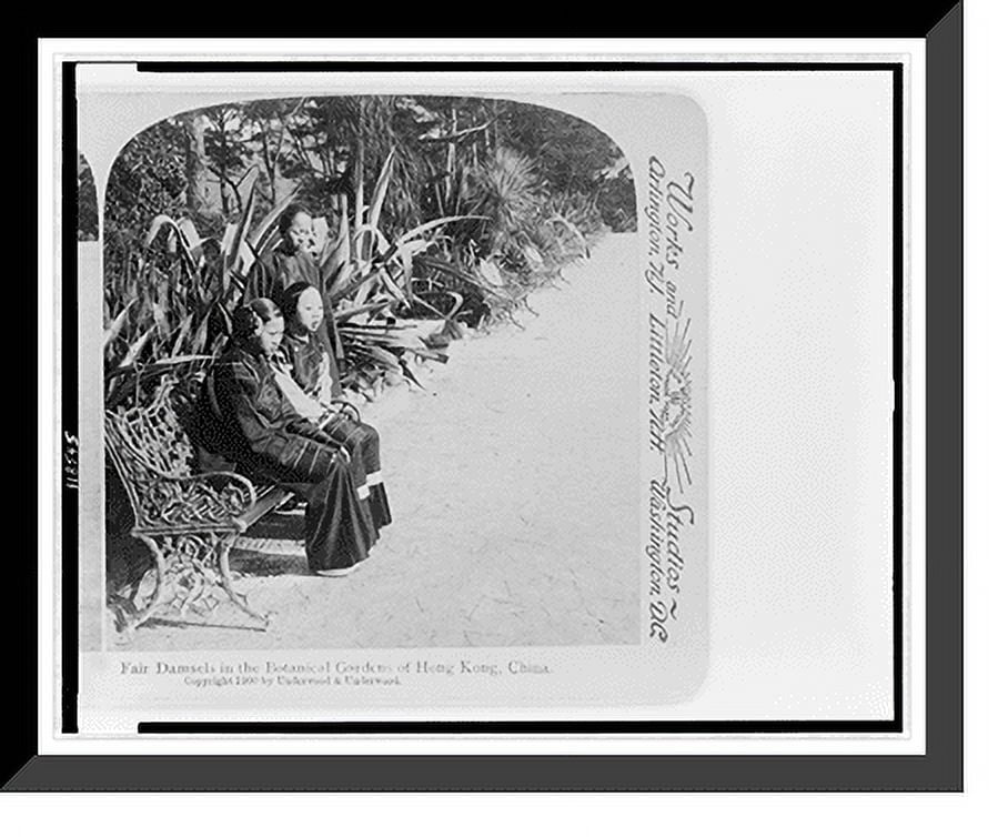 Historic Framed Print, Fair damsels in the Botanical Gardens of Hong ...