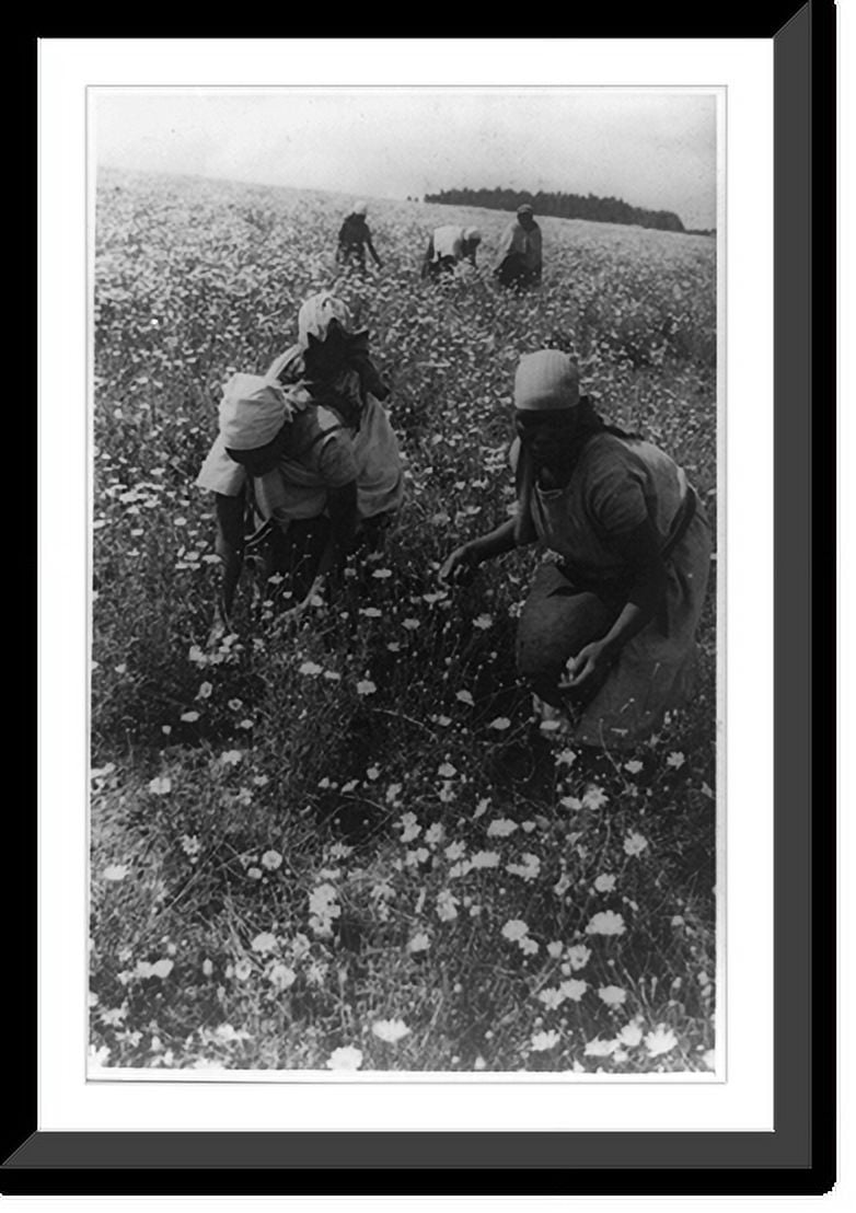 Historic Framed Print, [Five African women, one carrying a child on her ...