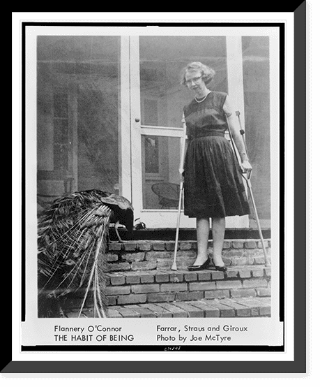 Historic Framed Print, Flannery O'Connor. The Habit of being.photo by ...