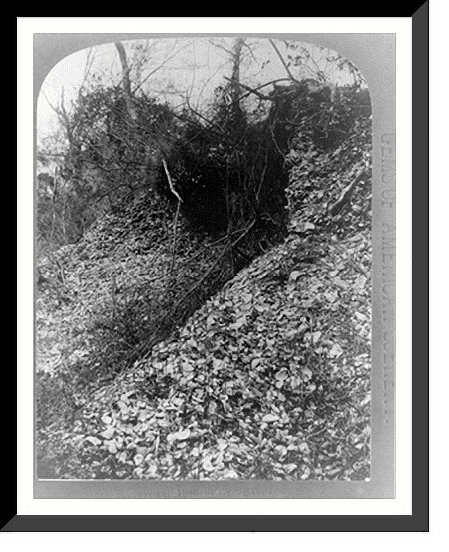 Historic Framed Print, Florida. the shell mounds. Ft. George Id..Geo ...
