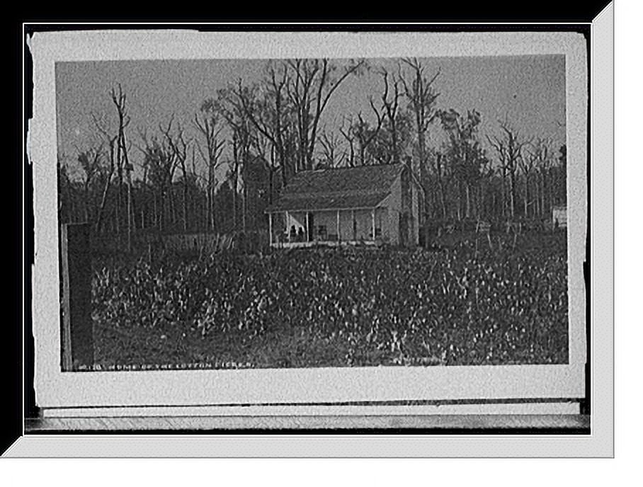 Historic Framed Print, Home of the cotton picker, 17-7/8" x 21-7/8 ...