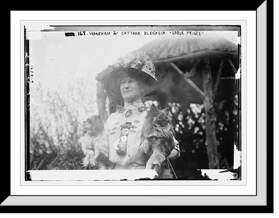 Historic Framed Print, ICY Wareham and Cottage Blen-Heim "Sable Prince ...