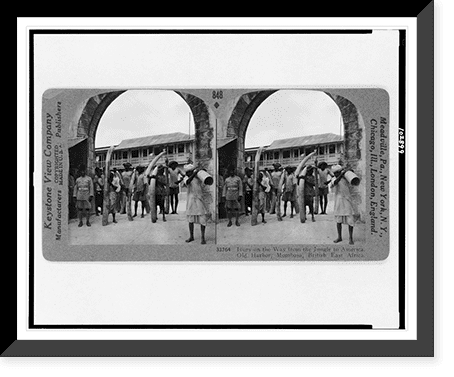 Historic Framed Print, Ivory on the way from the jungle to America, Old ...