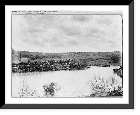 Historic Framed Print, JA Ranch, Texas. 1903. JA Ranch watering the day ...