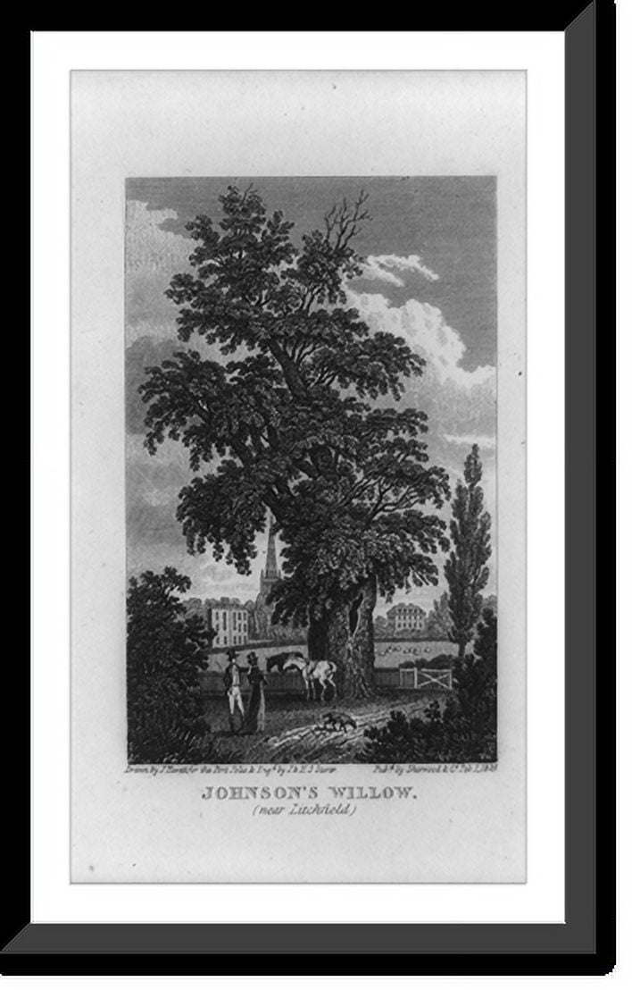 Historic Framed Print, Johnson's willow (near Litchfield).drawn by J. Hewett for the Portfolio ...