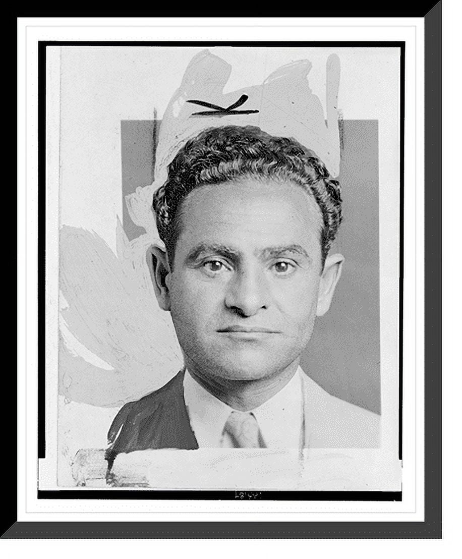 Historic Framed Print, [Joseph Amberg, bust portrait, facing front], 17 ...