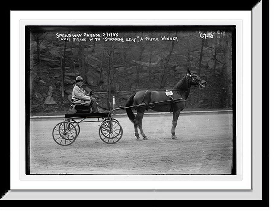 Historic Framed Print, Louis Frank with trotter "Strange Leaf", prize ...