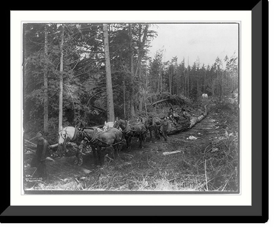 Historic Framed Print, [Lumbering operations in Cascade Mts., Wash.: 6 ...