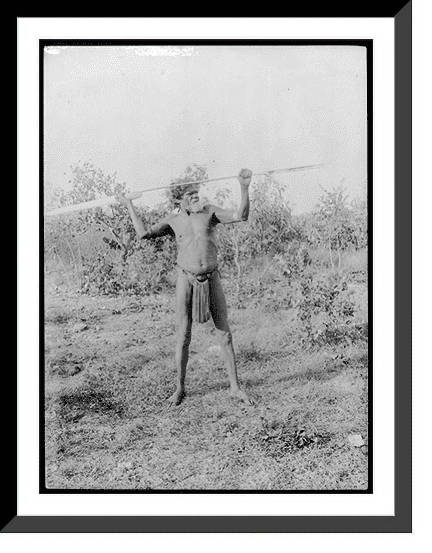 Historic Framed Print, [Man of U.B. tribe throwing spear with atlatl ...