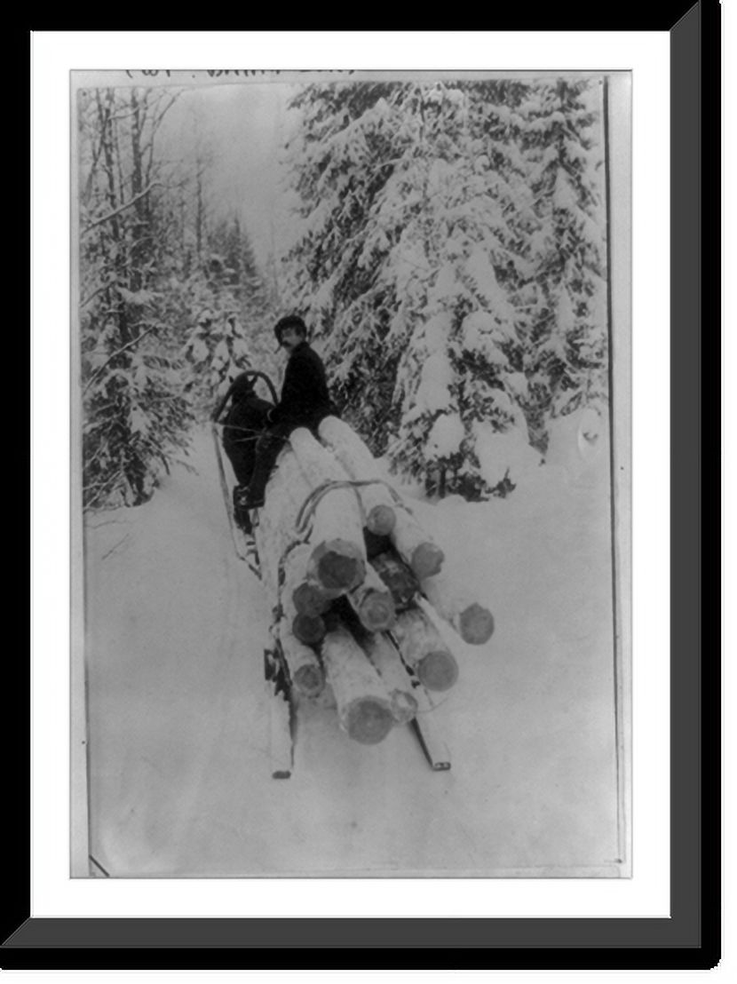 Historic Framed Print, [Man hauling spruce logs on horse-drawn sled ...