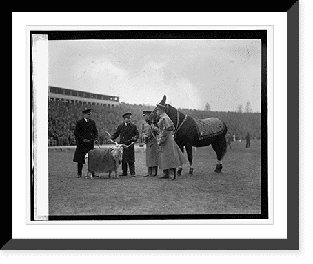 Historic Framed Print, Mascots at Army-Navy game, 11/29/24, 17-7/8" x ...
