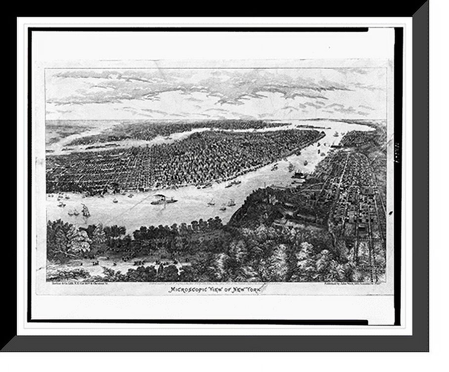 Historic Framed Print, Microscopic view of New York.Herline and Co., 17 ...