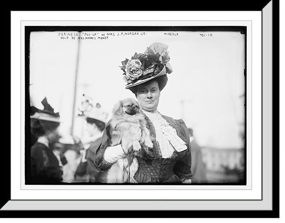 Historic Framed Print, Mineola Dog Show, Pekinese "Pou-sa" belonging to ...