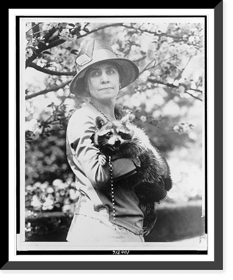 Historic Framed Print, [Mrs. Calvin Coolidge, half-length portrait ...