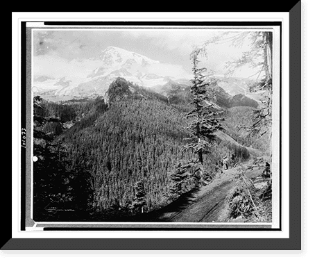Historic Framed Print, [Mt. Rainier from Rickseekers Point with man and ...