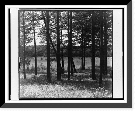 Historic Framed Print, Na dambie vodokhranilishcha na r. Chusovoi (u ...