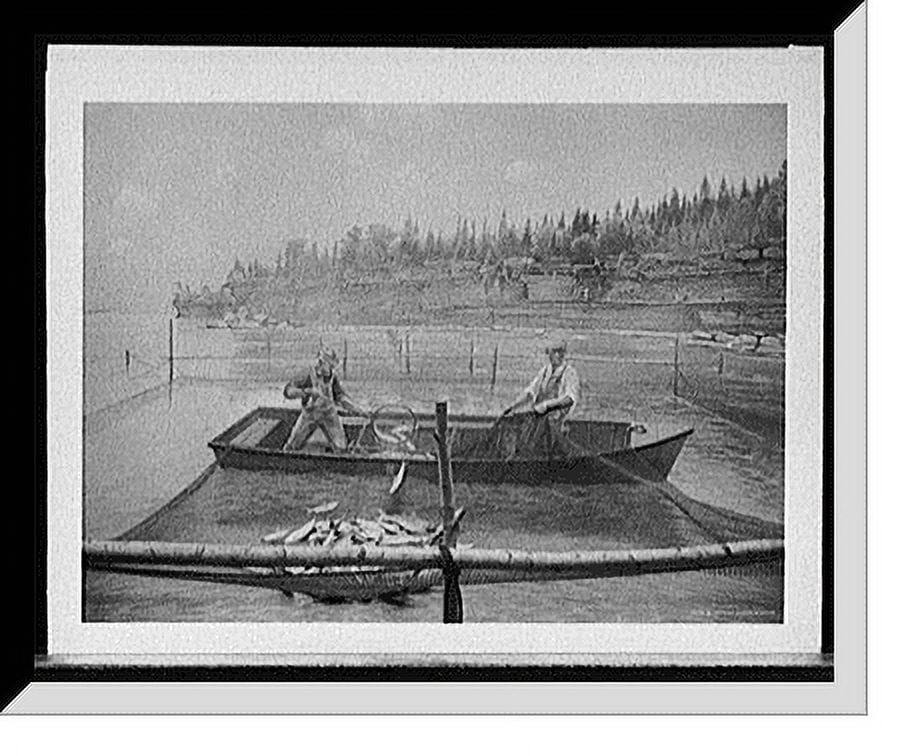 Historic Framed Print, [Netting fish in hatchery, Milwaukee Public ...