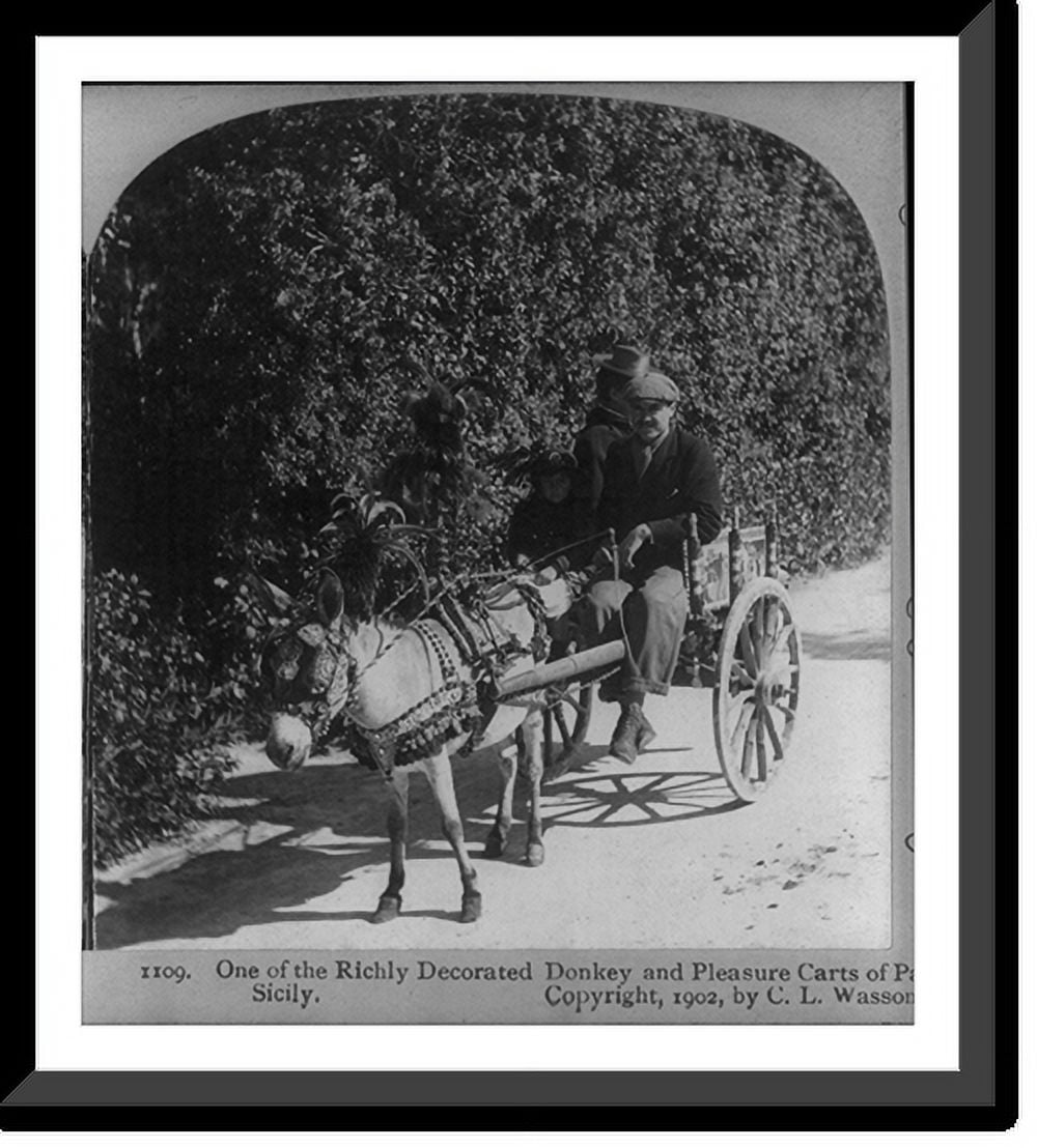 Historic Framed Print, One of the richly decorated donkey and pleasure ...