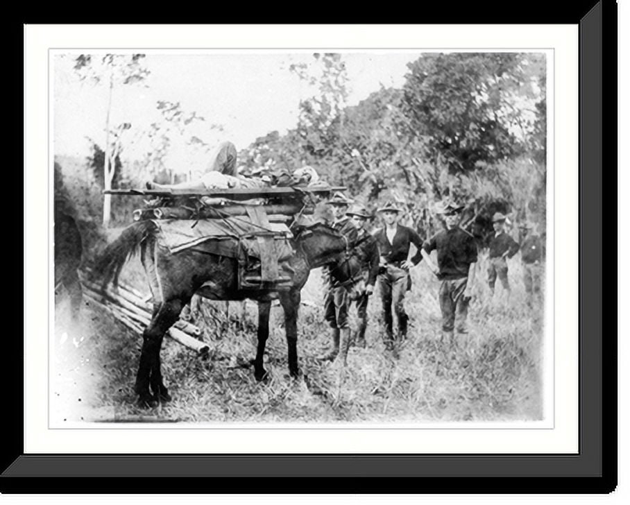 Historic Framed Print, [Patient, U.S. soldier, being carried on mule ...