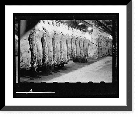 Historic Framed Print, [Racks of meat in cold storage in a meat locker ...