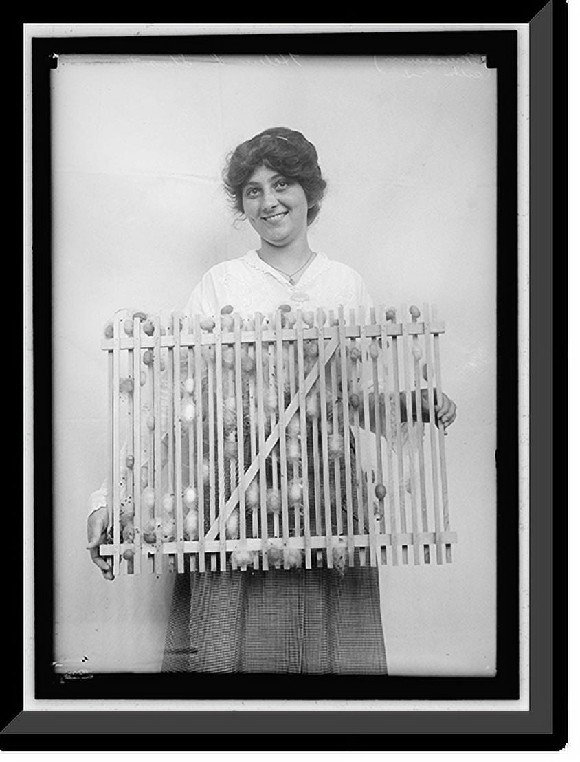 Historic Framed Print, SILK WORMS IN THE NATIONAL MUSEUM. HELEN STUART ...