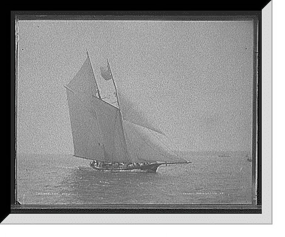 Historic Framed Print, Sea Fox - 2, 17-7/8" x 21-7/8" - Walmart.com