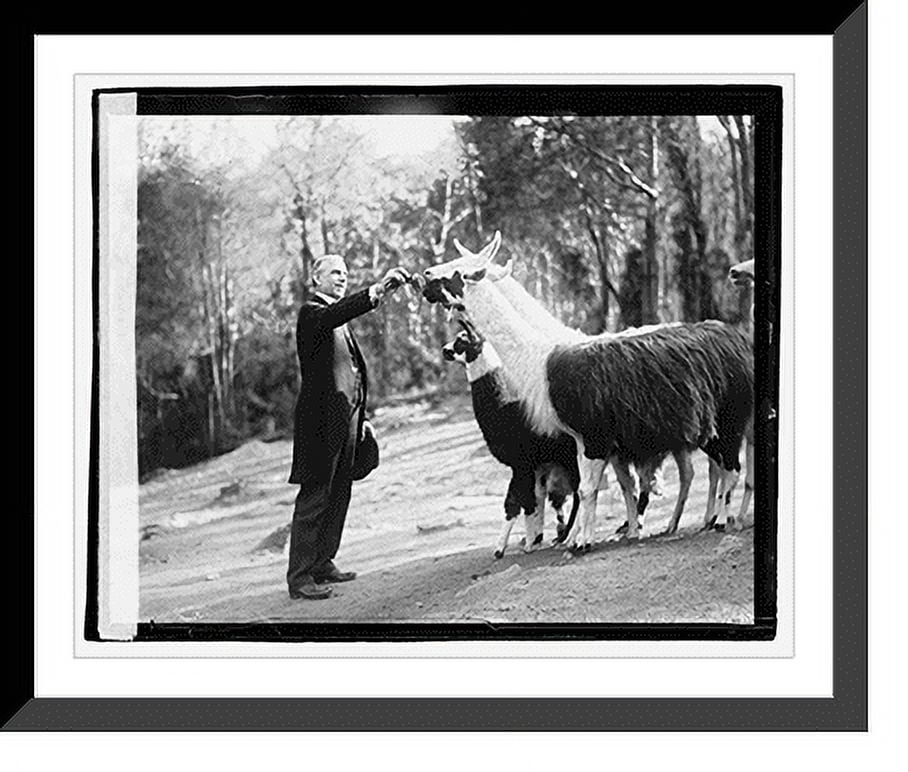 Historic Framed Print, Sen. Reed Smoot - 3, 17-7/8" x 21-7/8" - Walmart.com