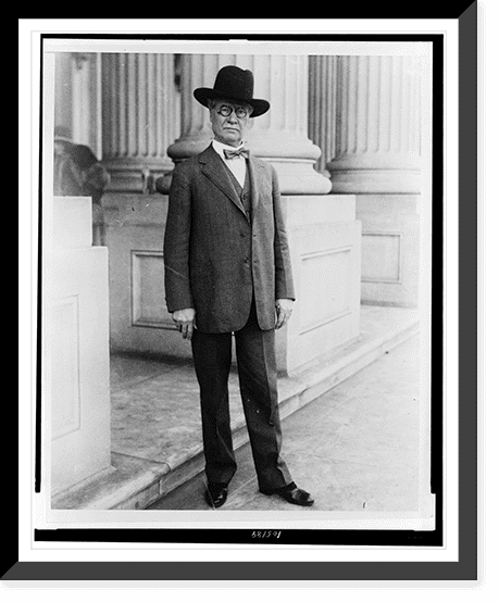 Historic Framed Print, [Senator Coleman Blease, full-length portrait ...