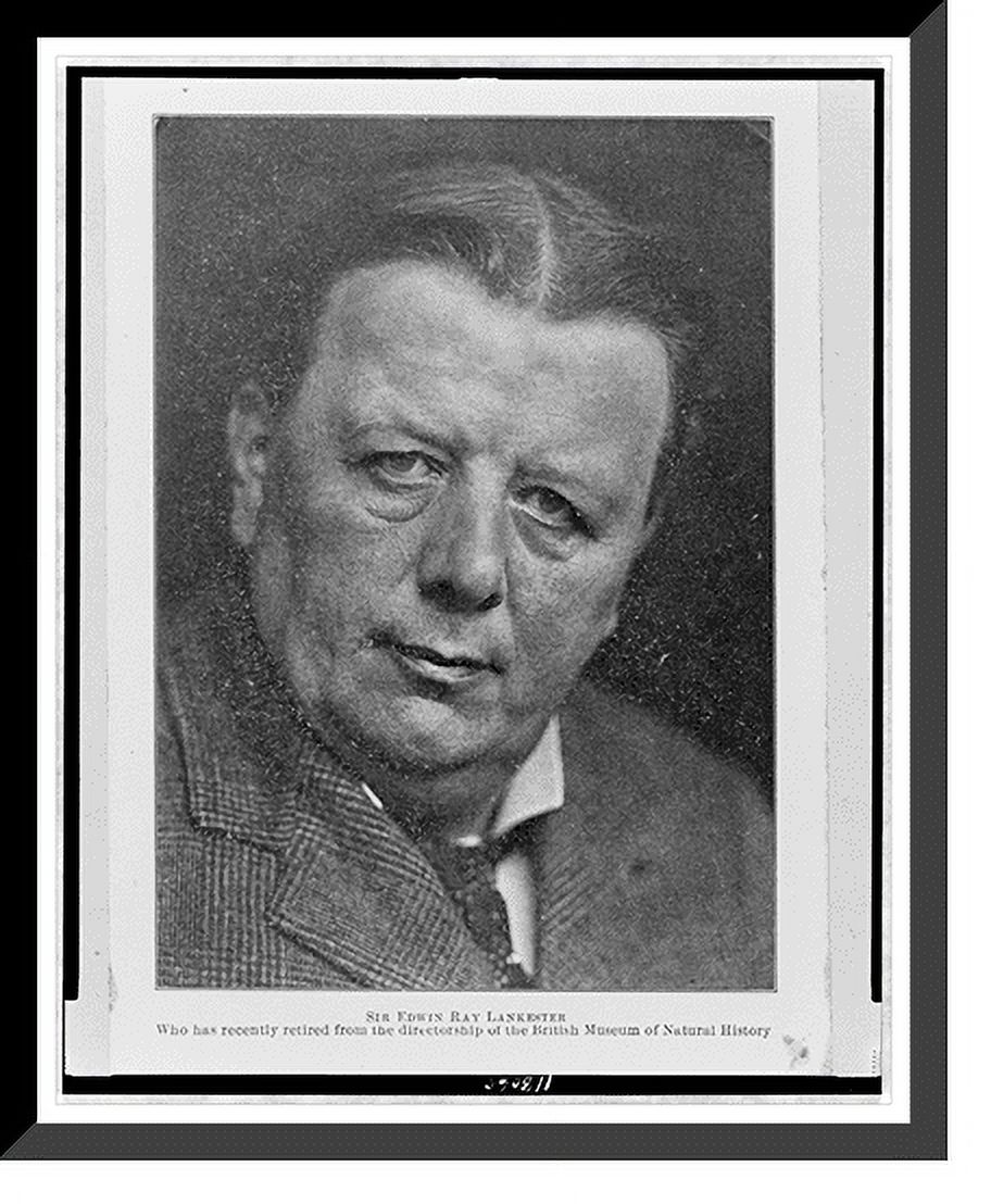 Historic Framed Print, Sir Edwin Ray Lankester, 17-7/8" x 21-7/8 ...