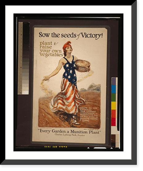 Historic Framed Print, Sow the seeds of victory! Plant & raise your own ...