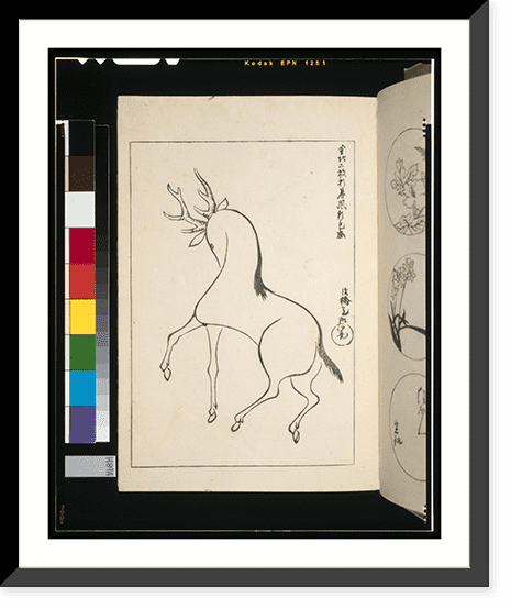 Historic Framed Print, [Stag looking for its mate], 17-7/8" x 21-7/8 ...