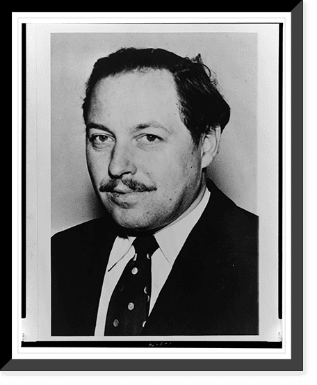 Historic Framed Print, [Tennessee Williams, head-and-shoulders portrait ...