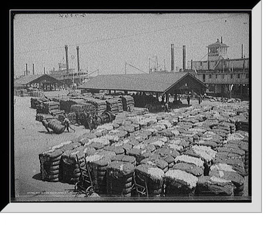 Historic Framed Print, The Cotton docks, Mobile, Ala., 17-7/8" x 21-7/8 ...