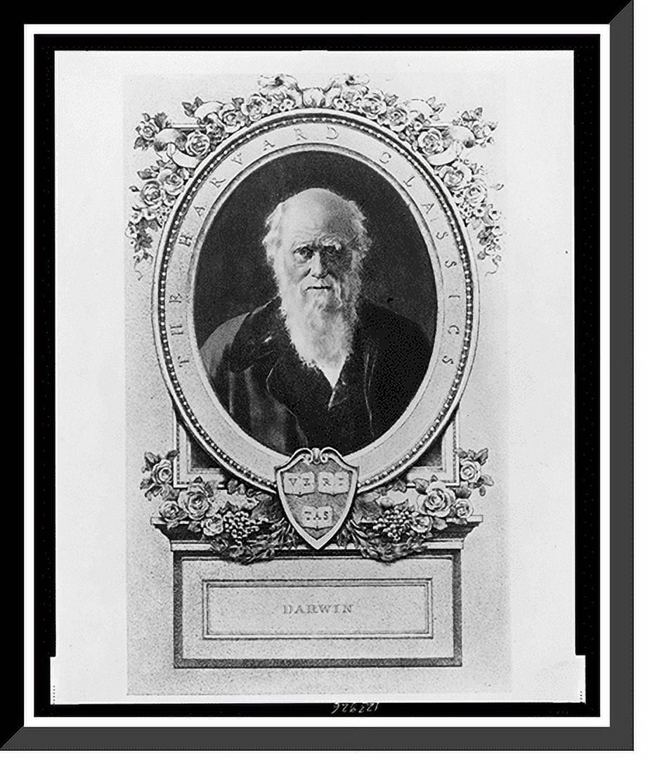 Historic Framed Print, The Harvard classics. Darwin, 17-7/8" x 21-7/8 ...