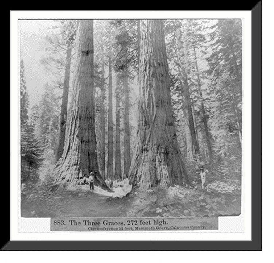 Historic Framed Print, The Three Graces, 272 feet high, circumference ...