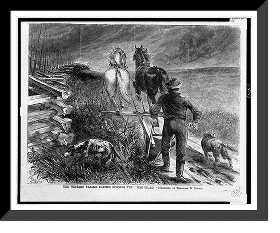 Historic Framed Print, The Western prairie farmer running the fire ...