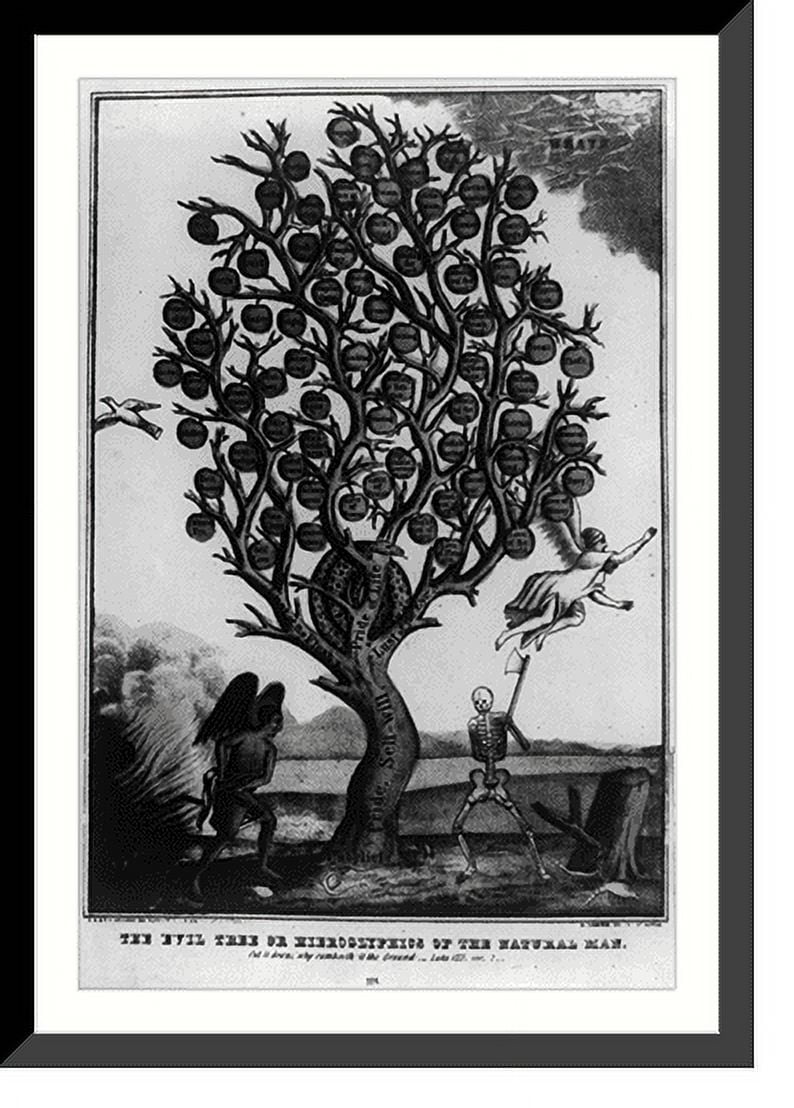 Historic Framed Print, The evil tree or hieroglyphics of the natural ...