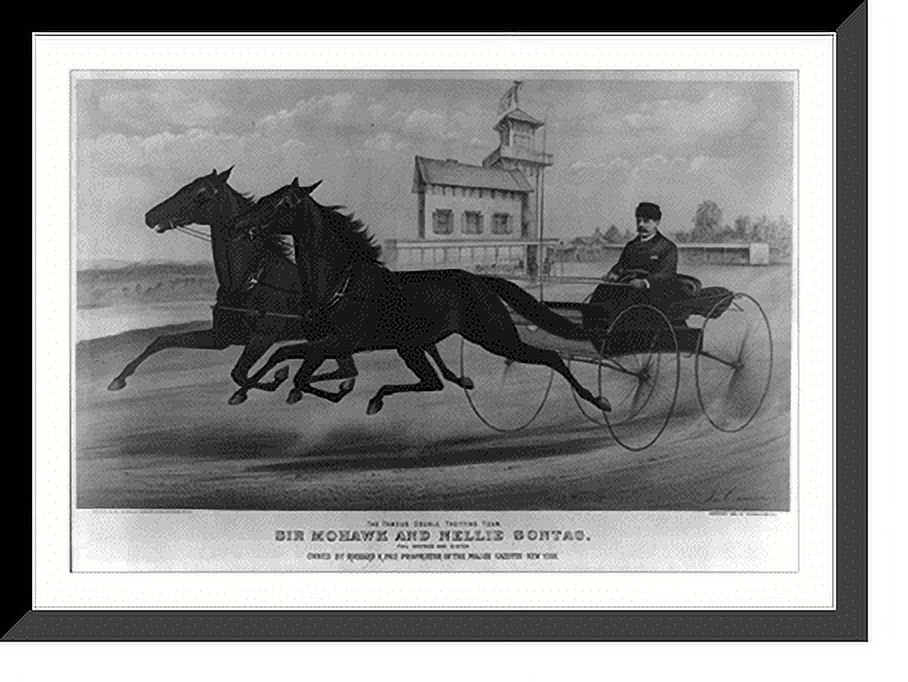 Historic Framed Print, The famous double trotting team, Sir Mohawk and ...