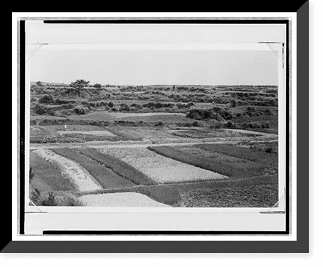 Historic Framed Print, The farm land is devided (sic) for different ...