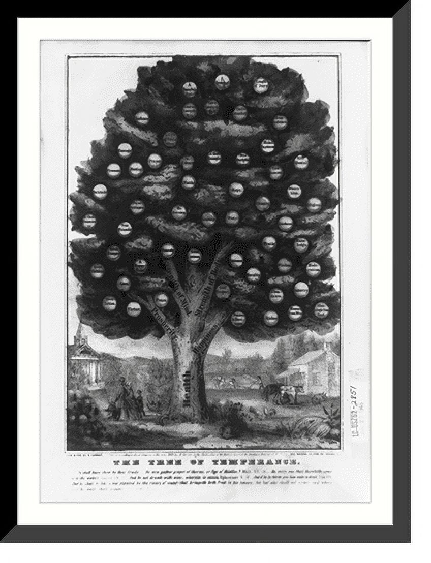 Historic Framed Print, The tree of temperance, 17-7/8" x 21-7/8 ...