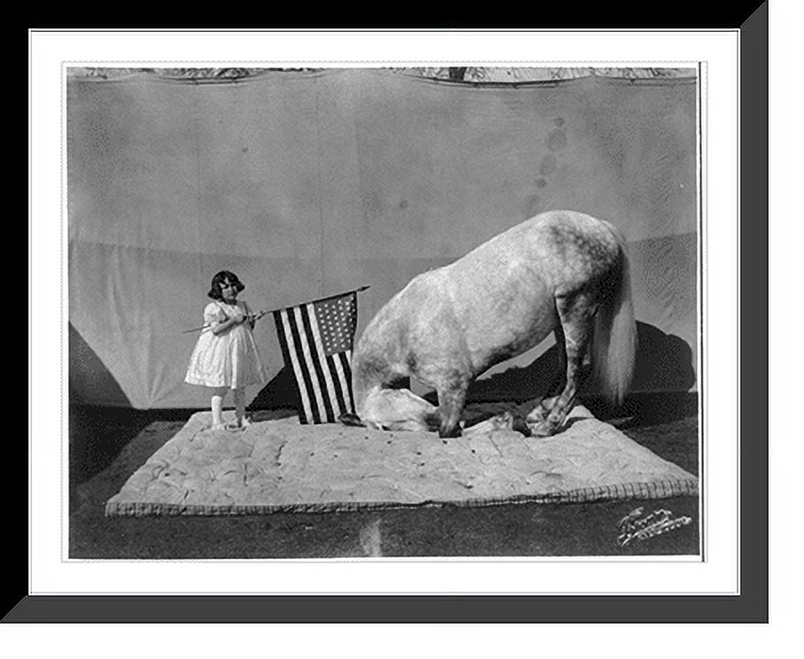 Historic Framed Print, The two patriots. Prince Albert, Ida Cuthbertson ...