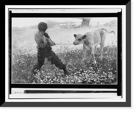 Historic Framed Print, [The unruly calf], 17-7/8" x 21-7/8" - Walmart.com