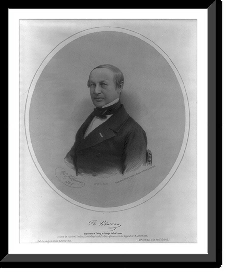 Historic Framed Print, [Theodor Schwann, 1810-1882, head and shoulders ...